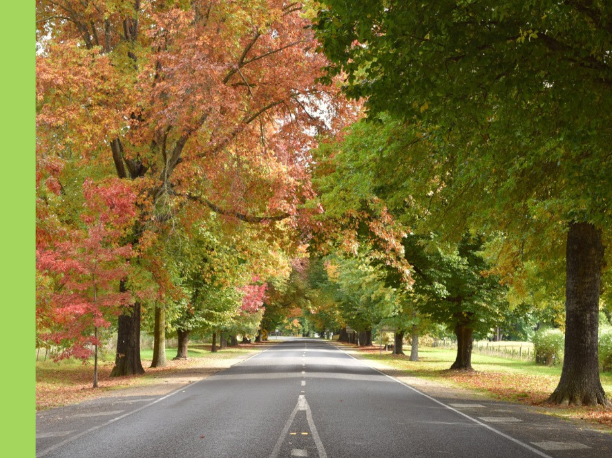 Council prepares Amendment C56alpi to the Alpine Planning Scheme ...