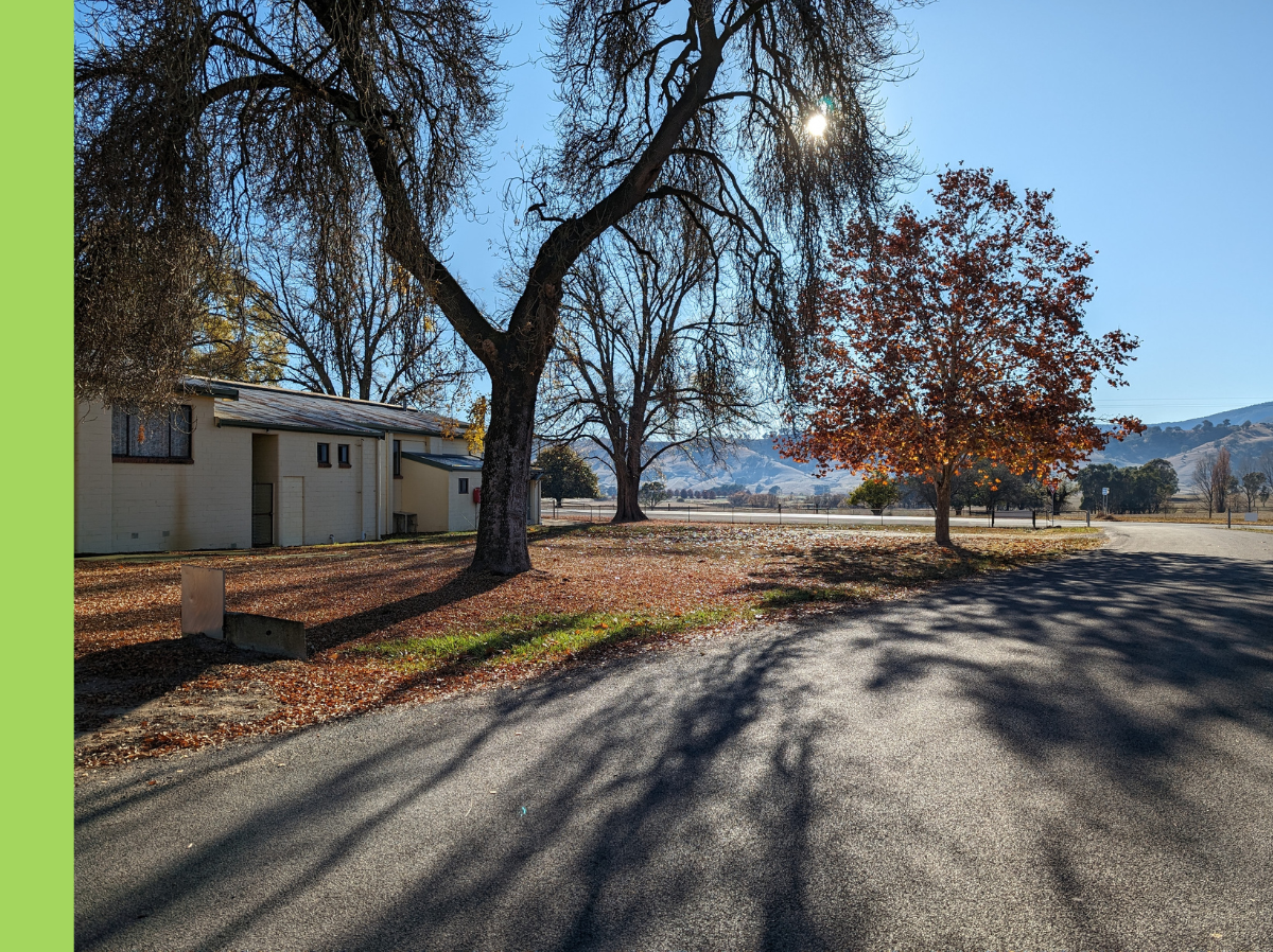 Mint Renewables invites locals to shape Dederang BESS Community ...