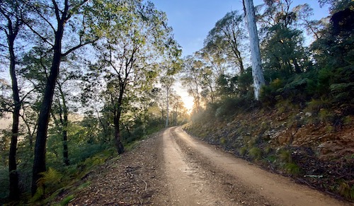 Alpine Shire Council