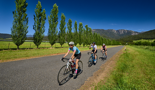 Alpine Shire Council