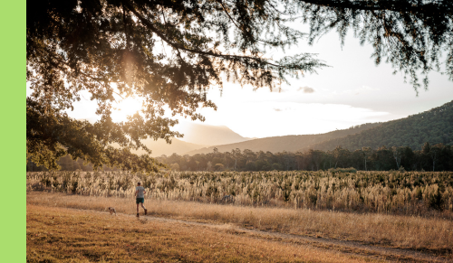 Council adopts Alpine Shire Land Development Strategy 2024 | Alpine ...