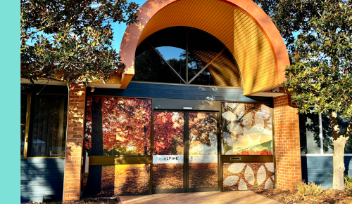 Election period explained ahead of Local Government election | Alpine ...